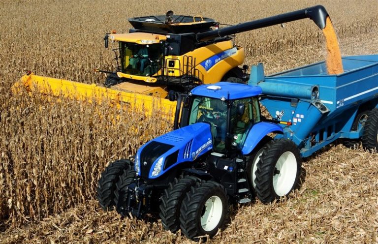 Gervais (Jerve) Peyniri Özellikleri | Gıda, Tarım ve Hayvancılık Bilgi ...